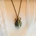 Brass Beetle Scarab Locket Insect Hidden Secret Compartment Bug Jewelry ...