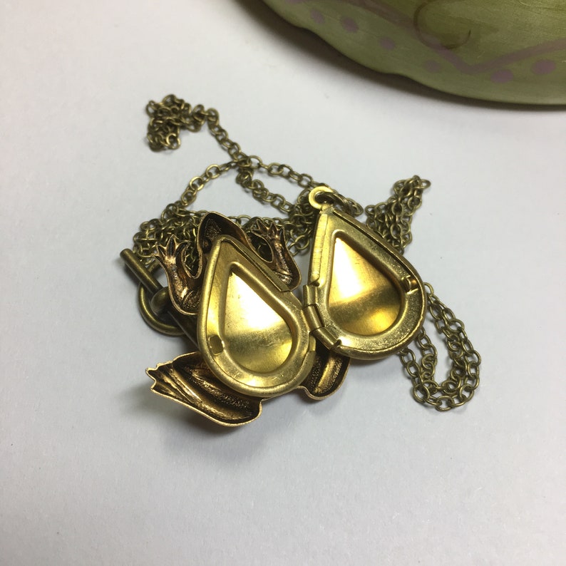 Frog Locket Solid Brass Nature Amphibian Unique Locket Hidden - Etsy