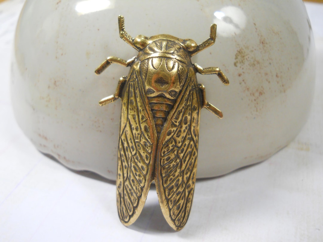 Insect Brooch Large Cicada Bug Pin Golden Brass Garden Entomology ...