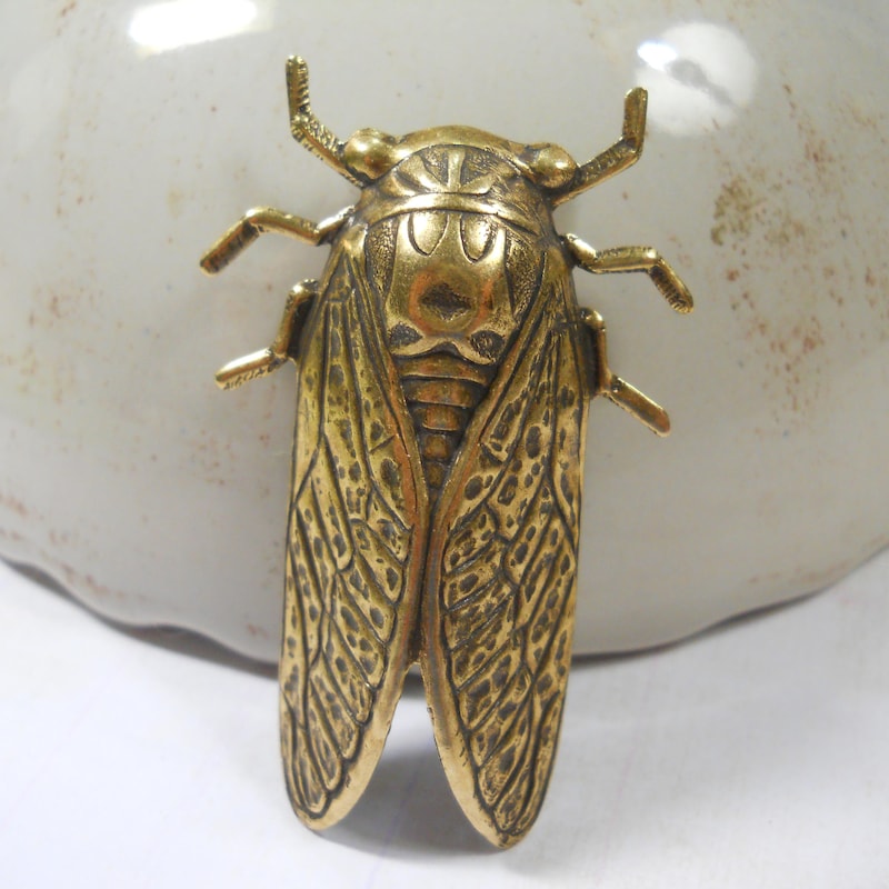 Cicada Brooch - Etsy