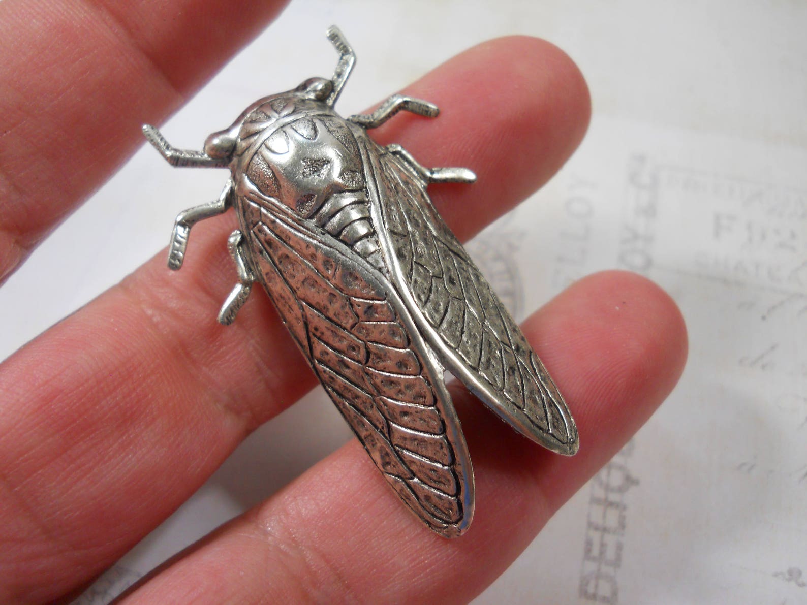 Insect Brooch Large Cicada Bug Pin Golden Brass Garden | Etsy