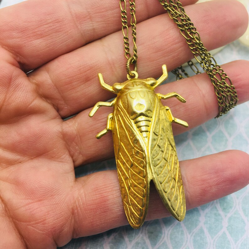 Hidden Locket Necklace CICADA Large Secret Compartment Bug | Etsy
