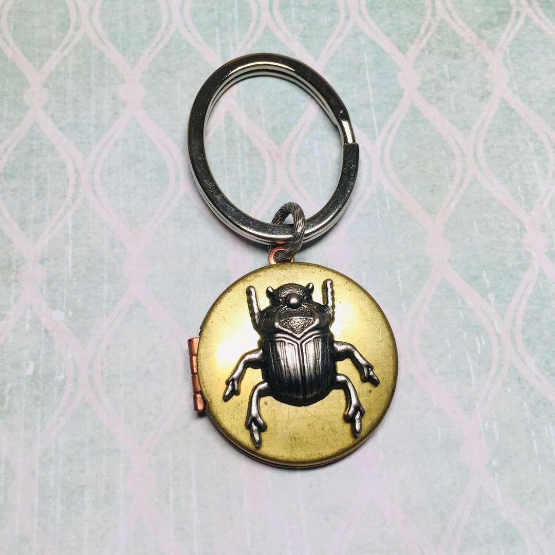 Bug Locket Keychain Vintage Brass Locket With Silver Metal Bug on Oval ...