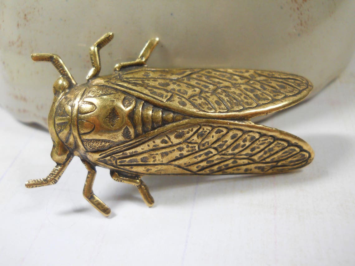 Insect Brooch Large Cicada Bug Pin Golden Brass Garden | Etsy