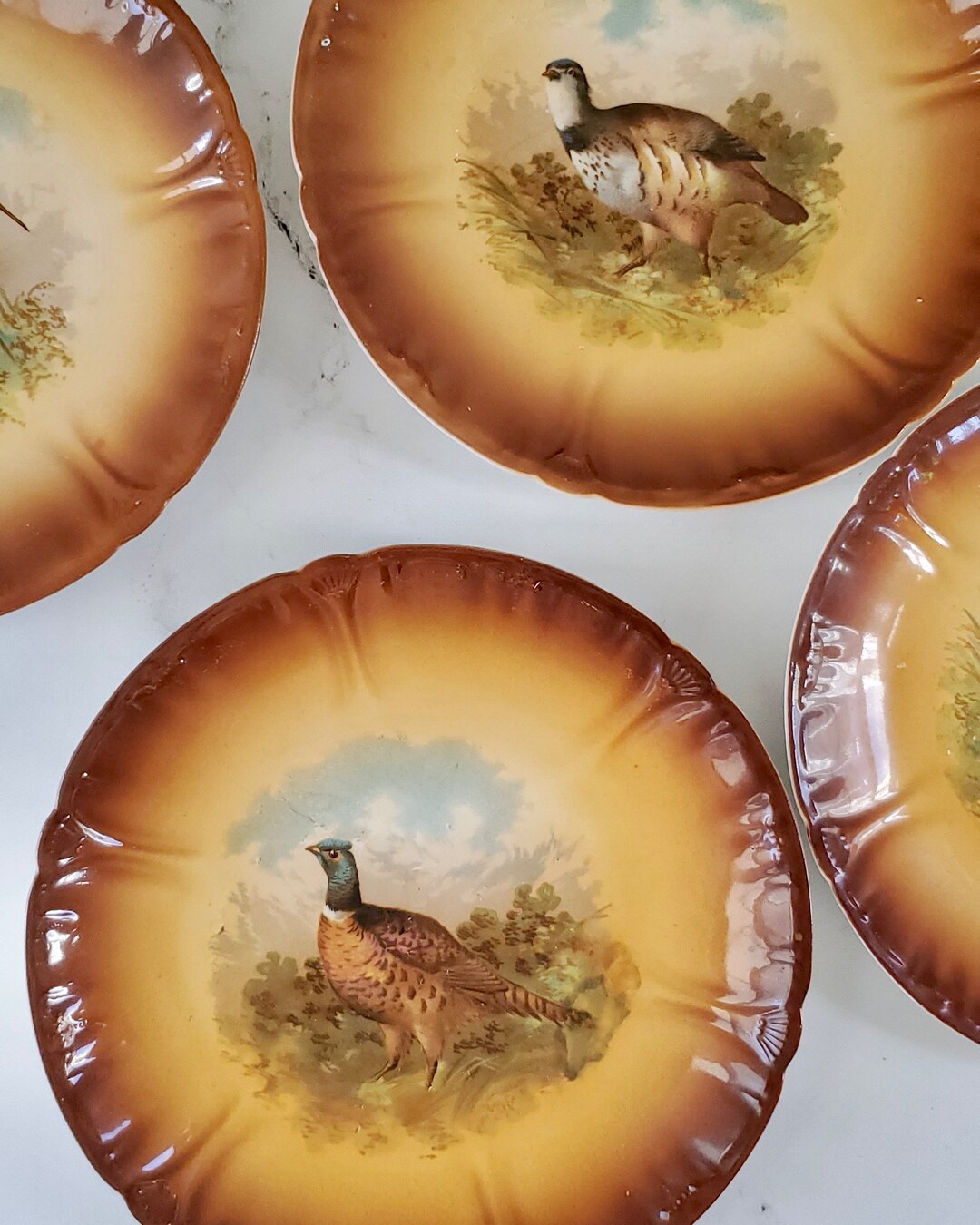 4 Antique German Bird Game Plates Set of Four Collectible Franz Anton ...