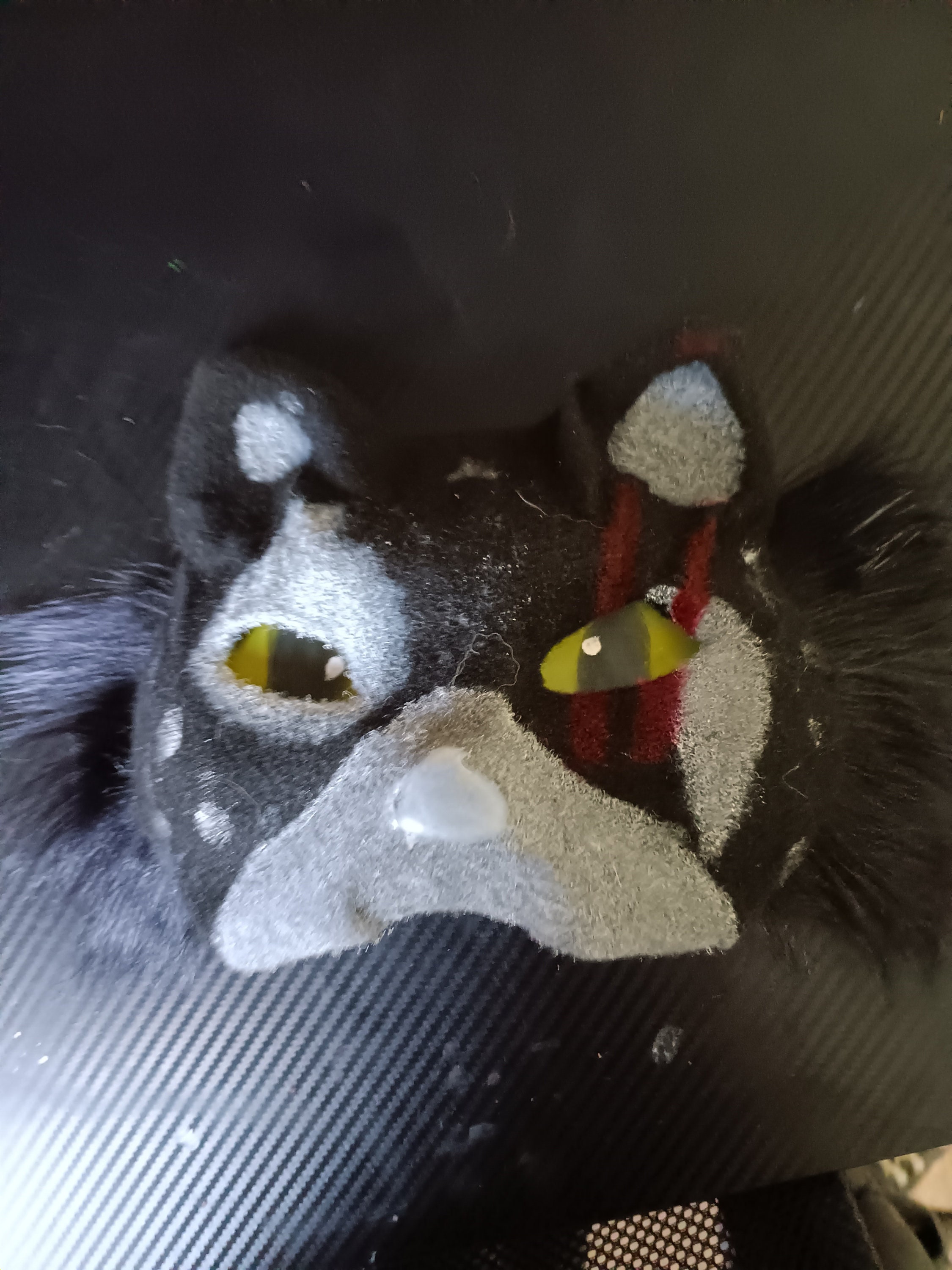 Black Tabby, Space Kitty, Therian Cat Mask - Etsy