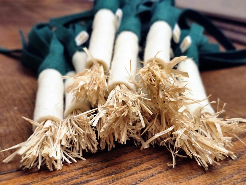 Felt Leek Cat Toy: Green Onion Handmade in USA - Etsy