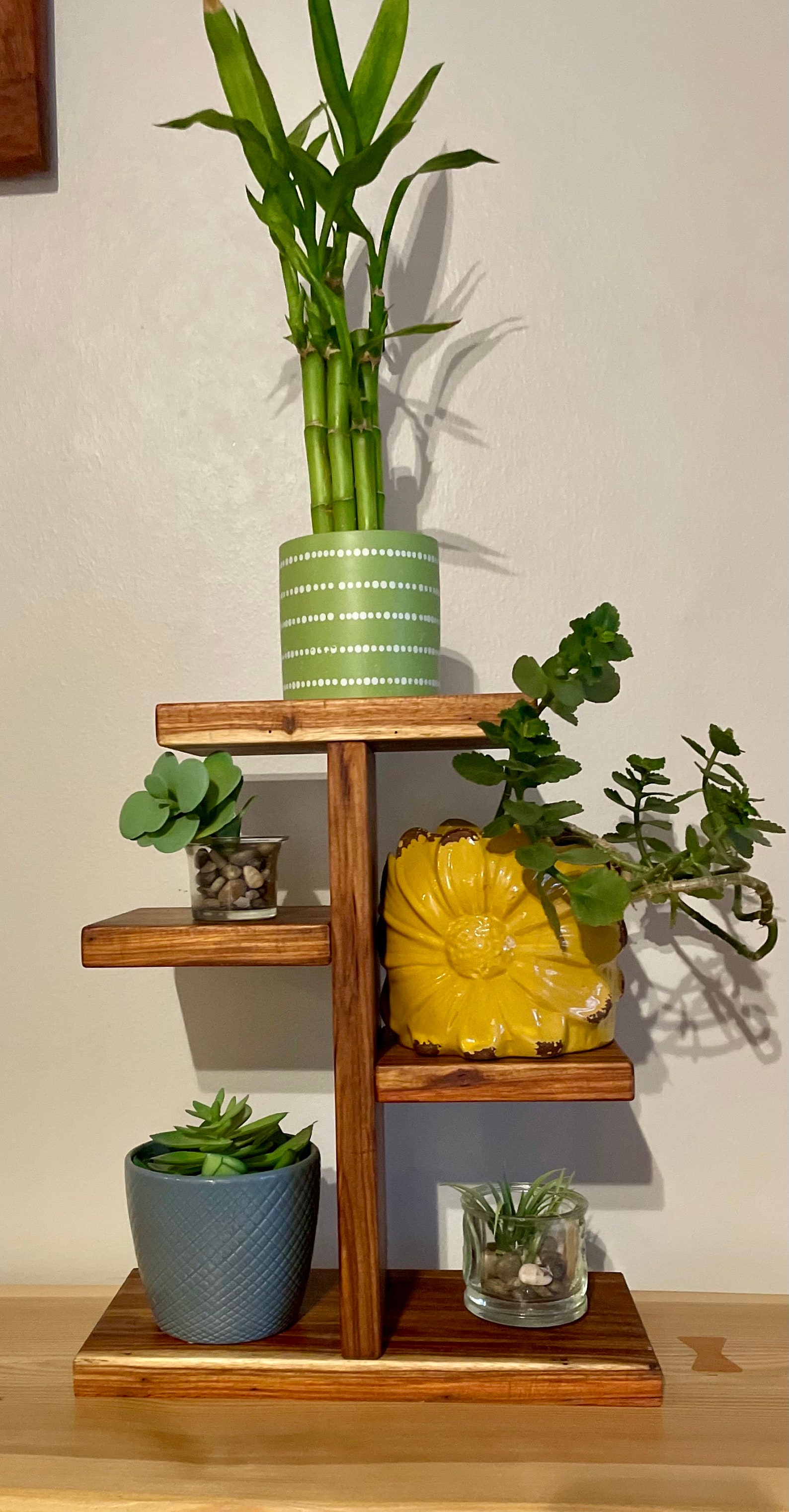 Handmade Exotic Canary Wood Plant Stand House Plant Stand Herb Stand ...