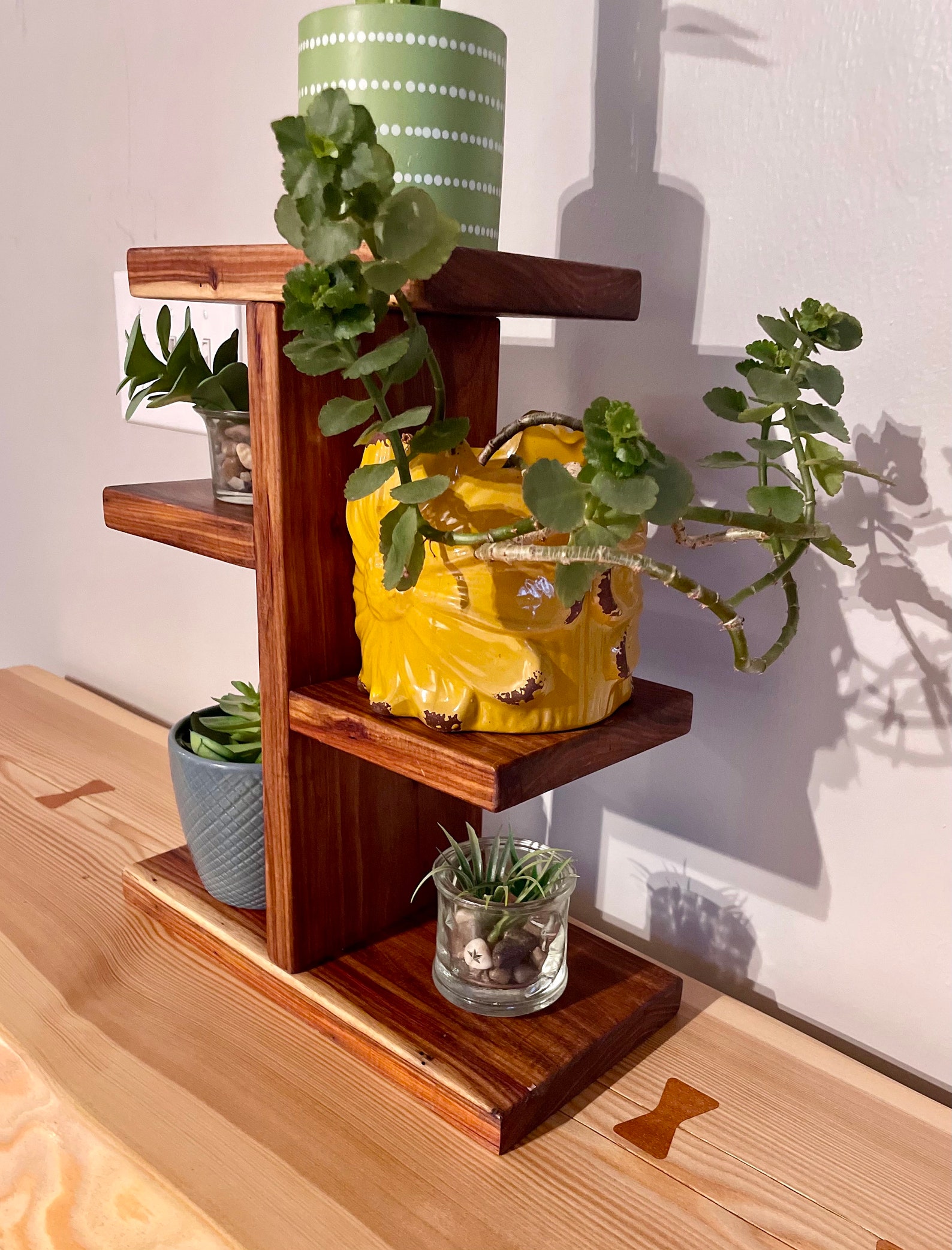 Handmade Exotic Canary Wood Plant Stand House Plant Stand Herb Stand ...