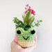 Froggy Mini Planter Crochet Pattern, Crochet Planter, Frog Planter - Etsy