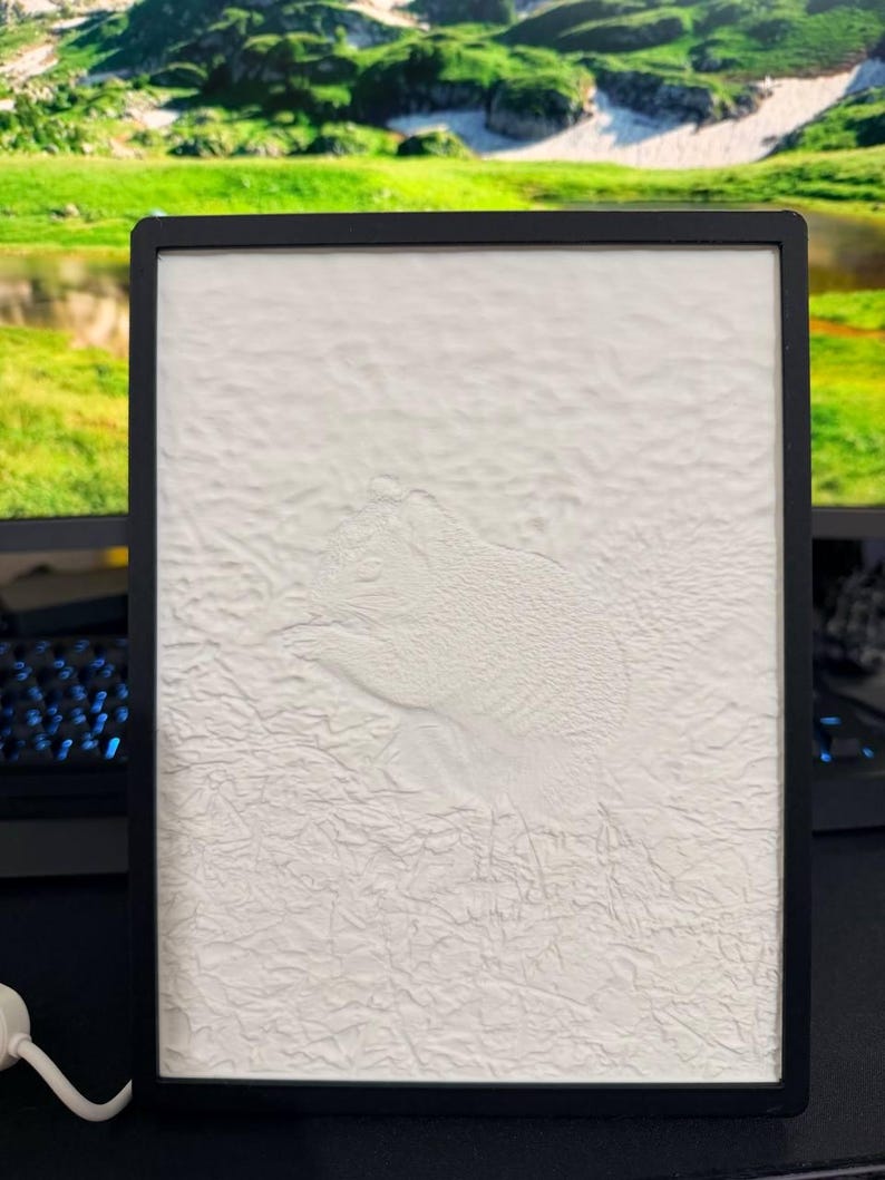 Custom 3D Printed Photo Light Frame (LED, USB Powered) - Etsy