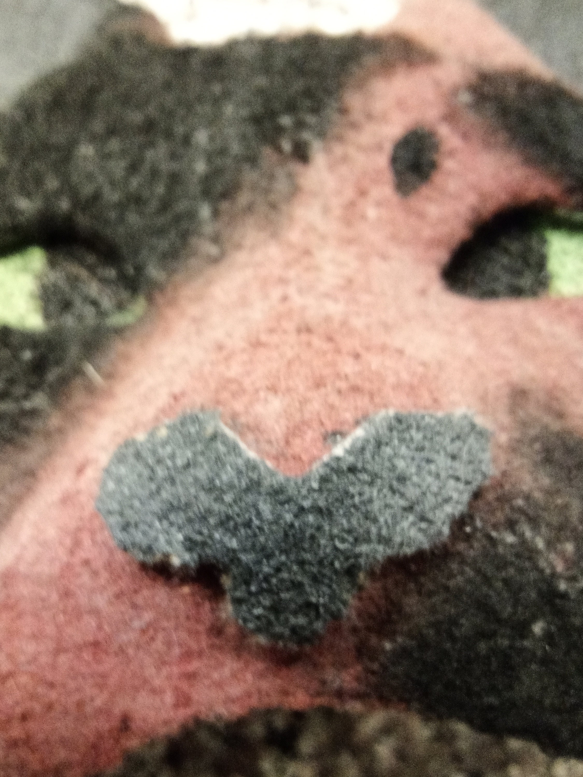 Tortoiseshell Cat Therian Mask - Etsy