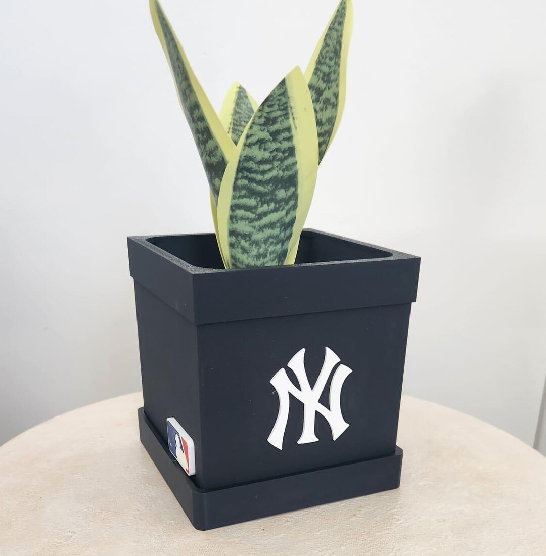 MLB New York Yankees Planter Box - Etsy