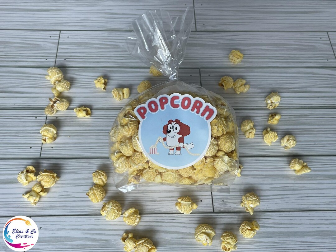 Honey’s Popcorn Treat Bags – Bluey Themed Party Favors - Etsy