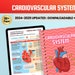 Cardiovascular System Study Guide Bundle | Heart Anatomy & Cardiac ...