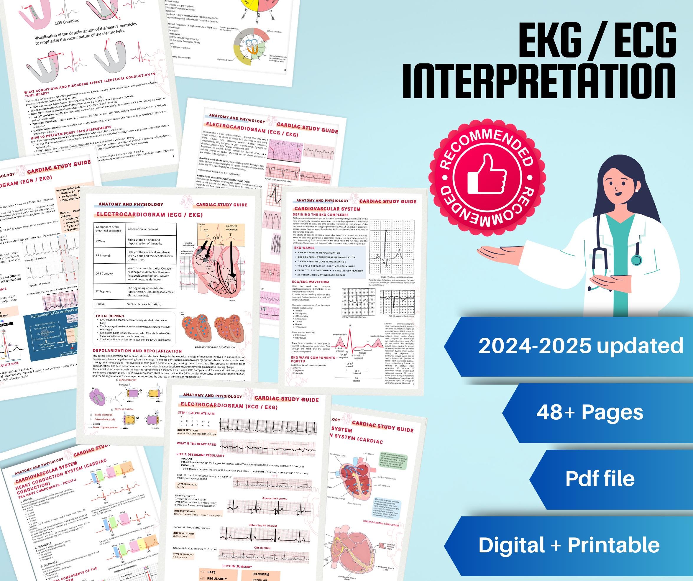 EKG ECG Interpretation | Nursing Cardiac Study Guide | EKG Rhythms ...