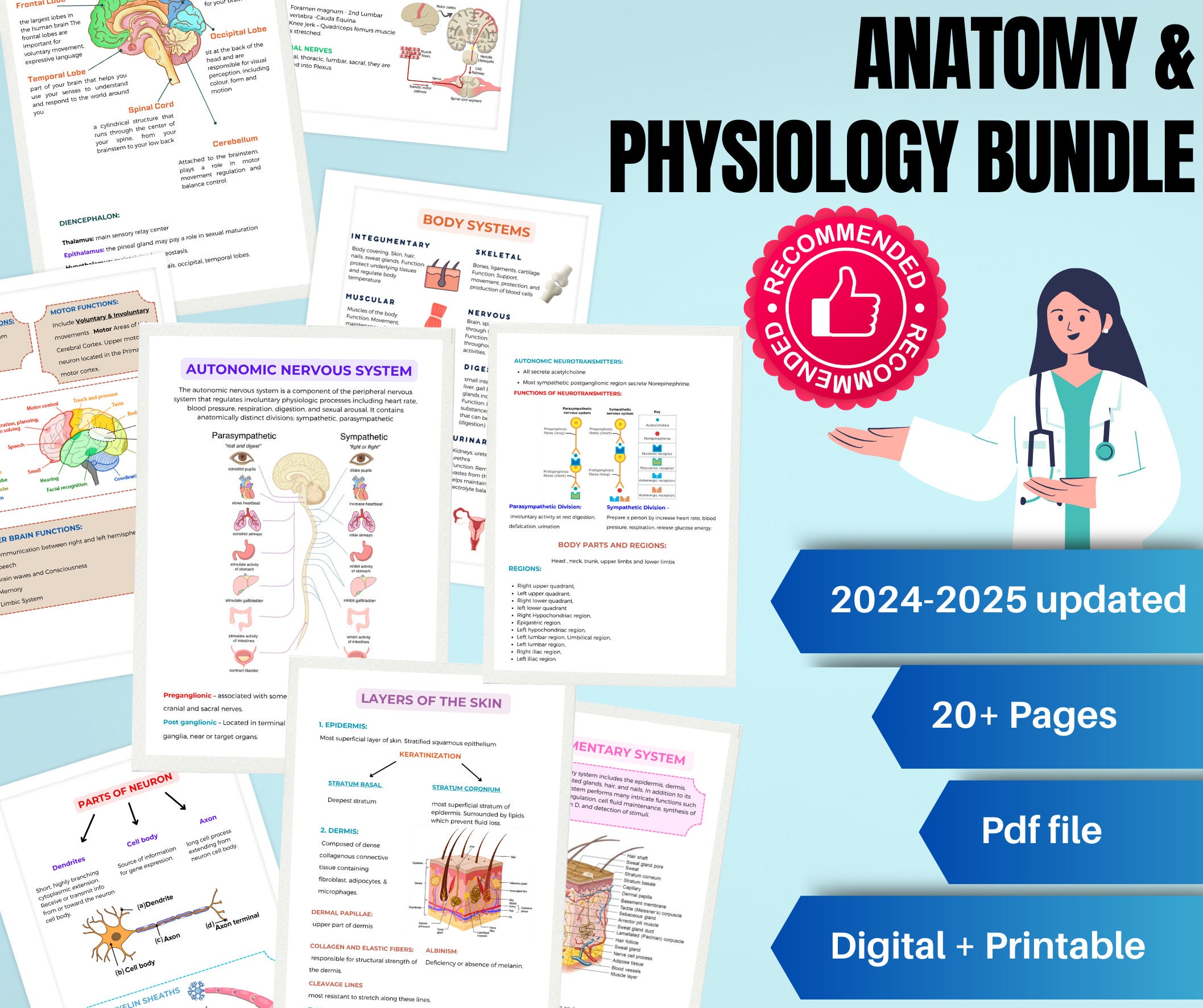 Human Anatomy and Physiology Bundle, Anatomy & Physiology Study Guide ...