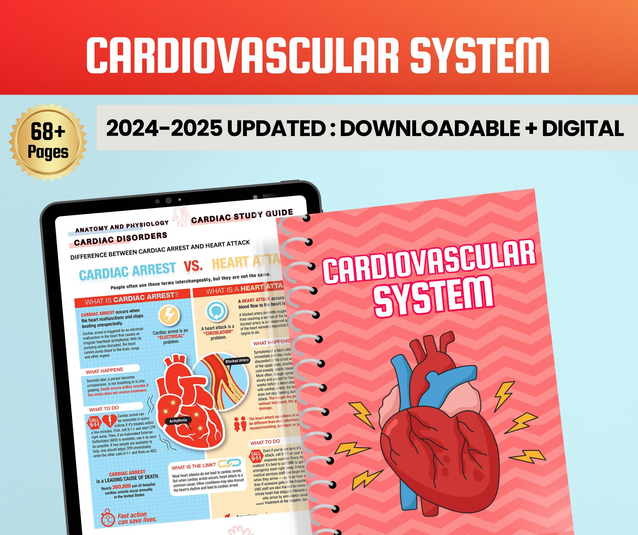 Cardiovascular System Study Guide Bundle | Heart Anatomy & Cardiac ...