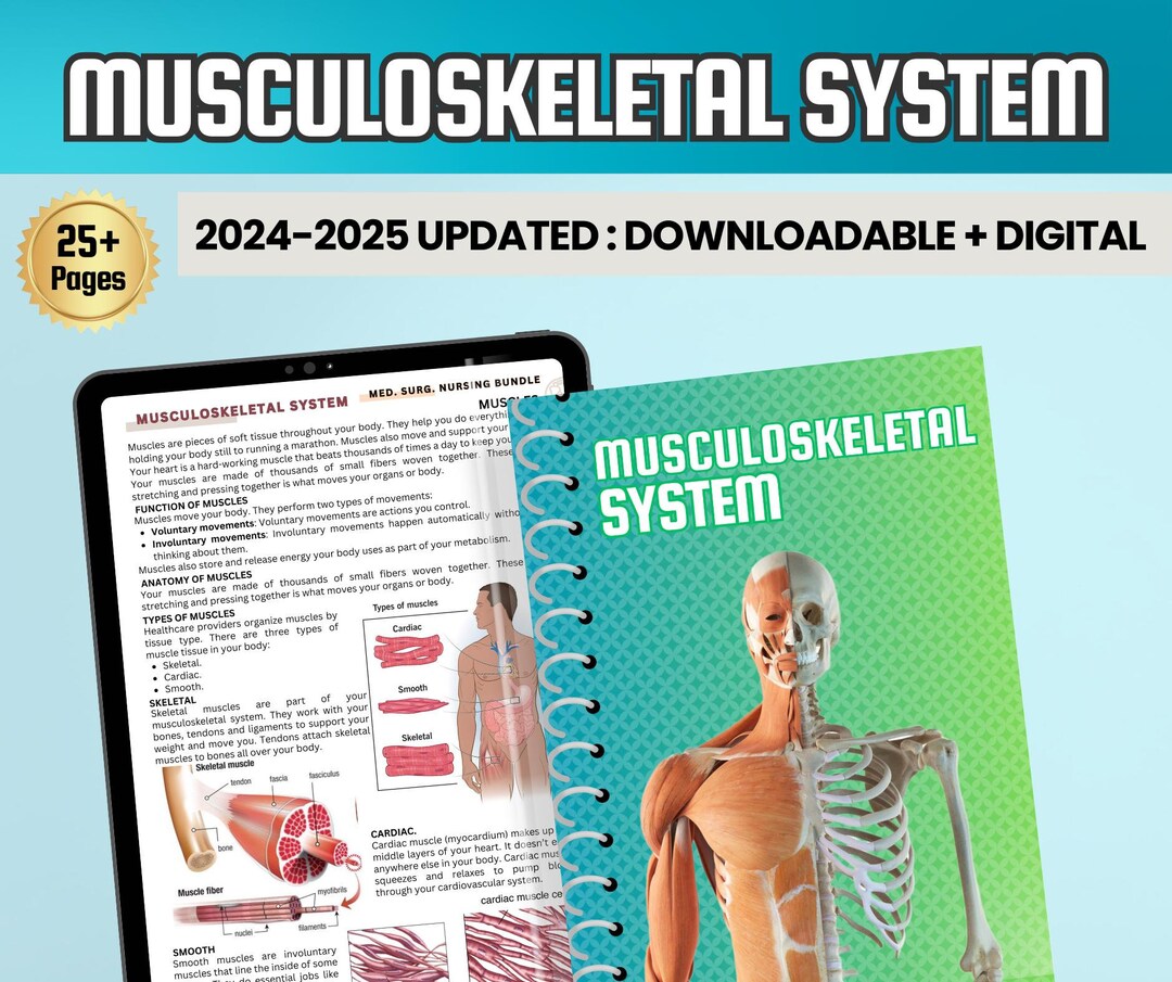 Musculoskeletal Nursing Notes and Study Guide | Muscle Anatomy ...