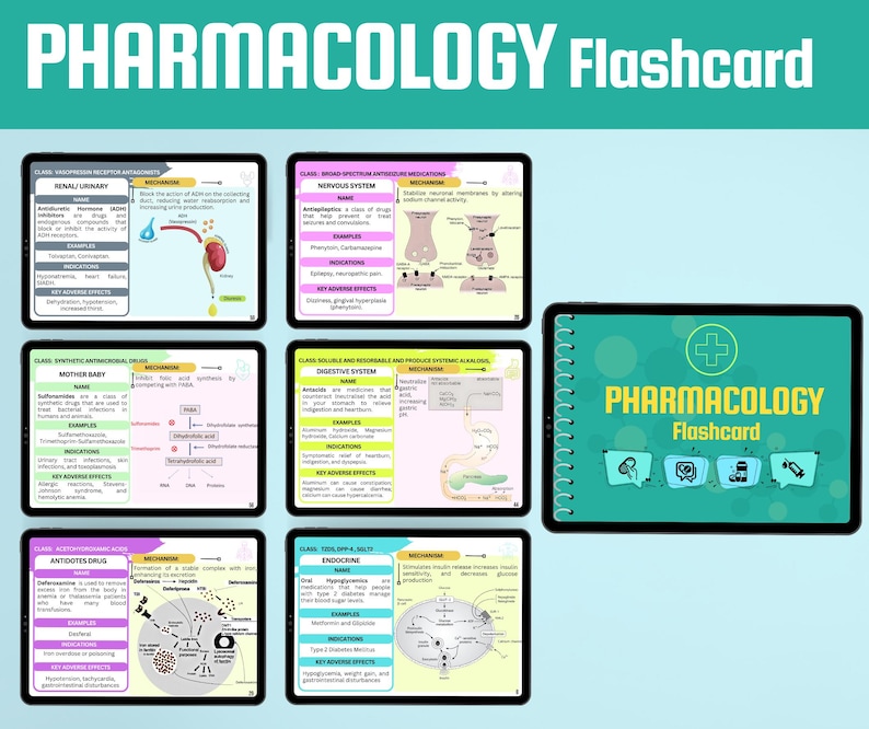 Clinical Pharmacology Flashcards Bundle, Medical Nurse Study Notes ...