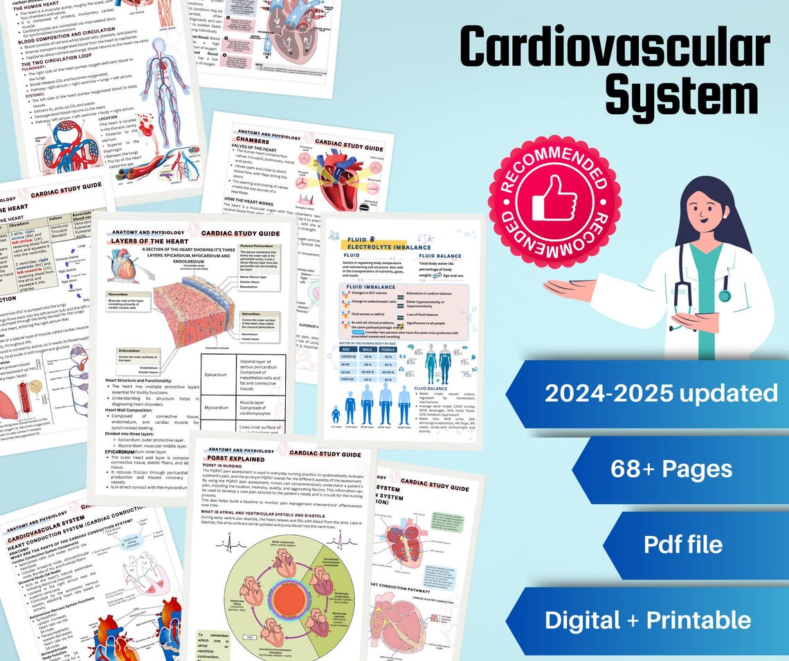 Cardiovascular System Study Guide Bundle | Heart Anatomy & Cardiac ...