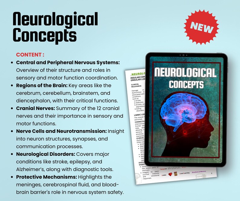 Neurological System Study Guide | Brain Anatomy, Disorders (digital PDF ...