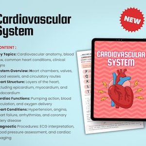 Cardiovascular System Study Guide Bundle | Heart Anatomy & Cardiac ...