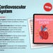 Cardiovascular System Study Guide Bundle | Heart Anatomy & Cardiac ...