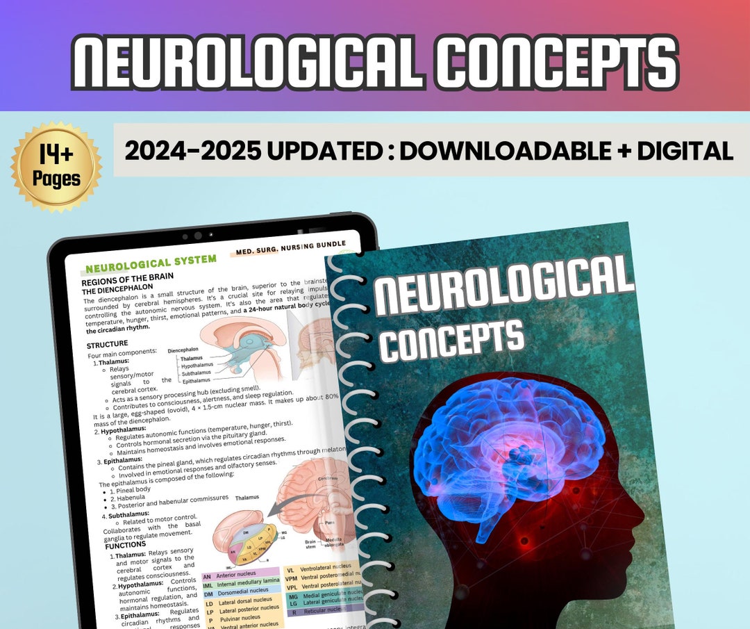 Neurological System Nursing Study Notes | Brain Anatomy, Cranial Nerves ...