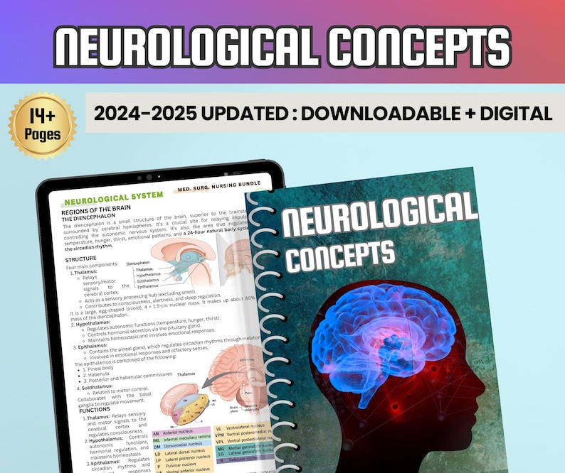 Neurological System Study Guide | Brain Anatomy, Disorders (digital PDF ...