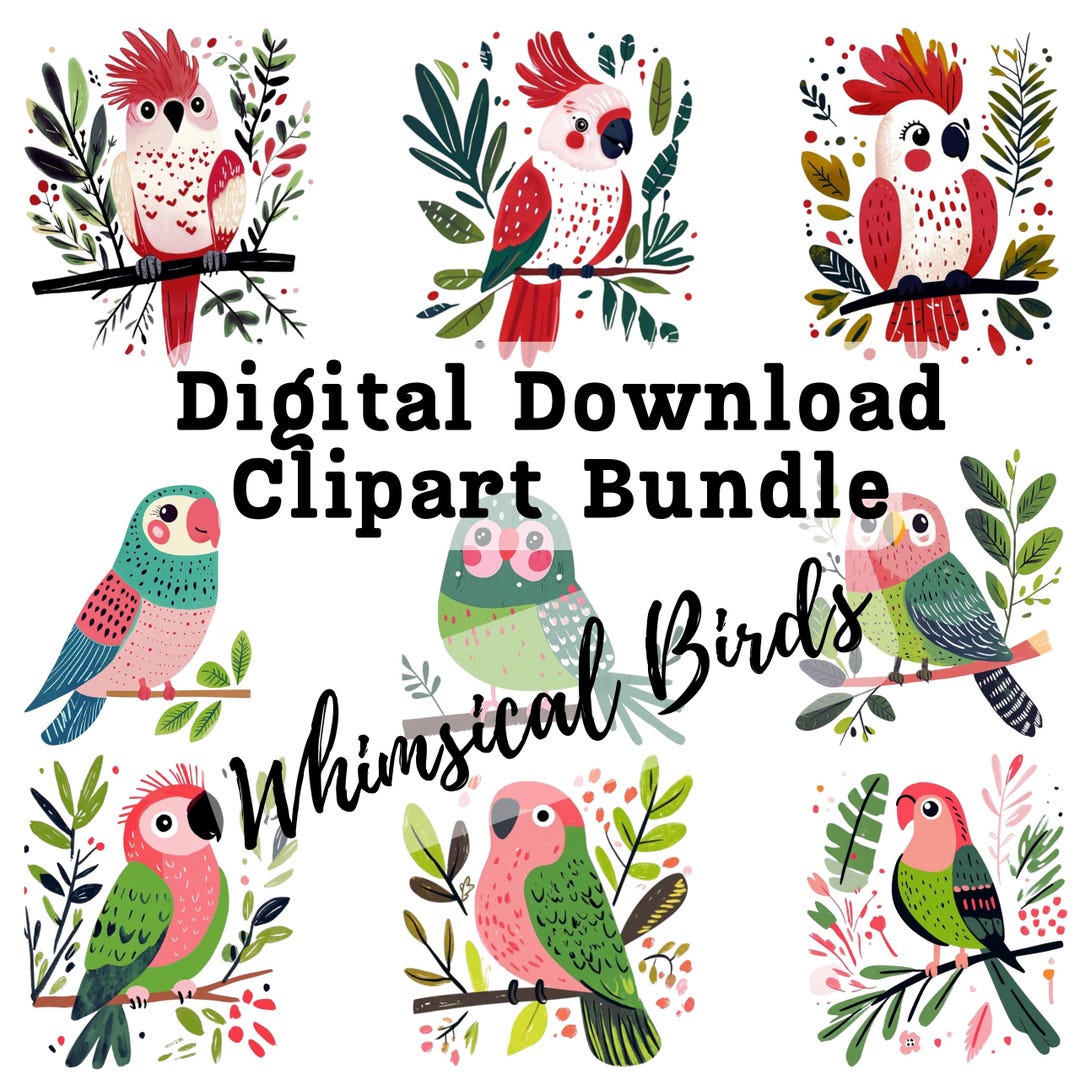 Whimsical Birds Clipart – Colorful Cartoon Bird Illustrations (digital ...