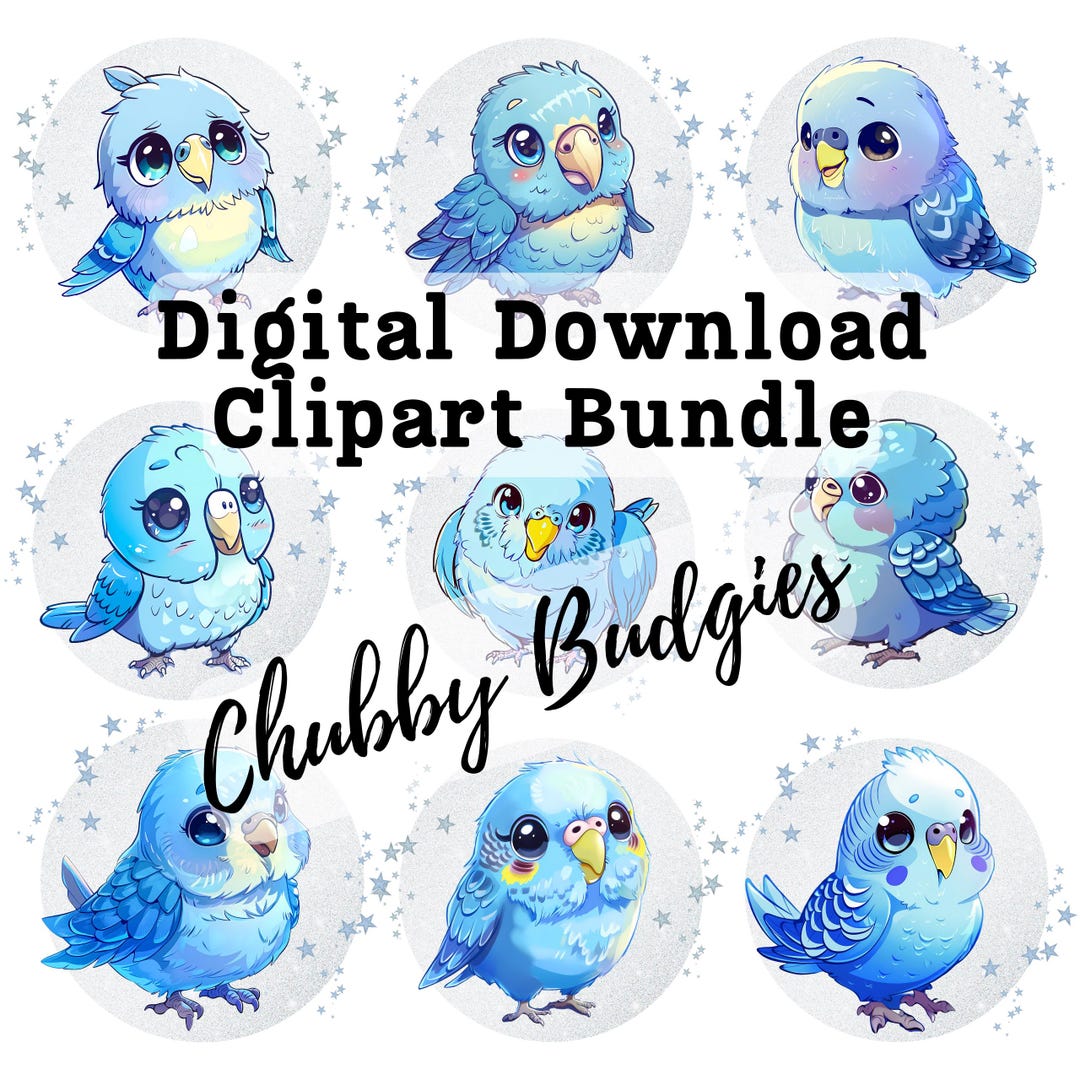 Cute Blue Budgie Clipart – Chubby Cartoon Parakeets PNG | Digital Bird ...