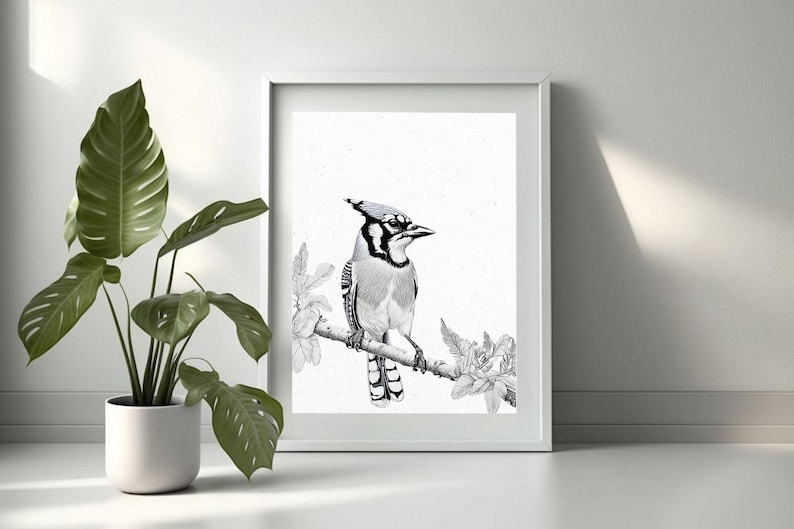 Blue Jay on a Branch, Detailed Bird Sketch, Monochrome Etching ...