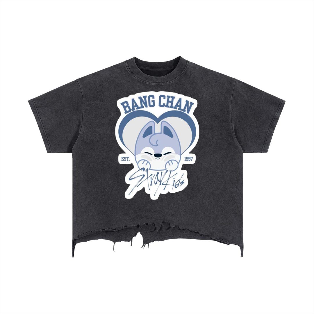 Stray Kids BANG CHAN SKZOO Vintage Wash Boxy Distressed Hem T-shirt - Etsy