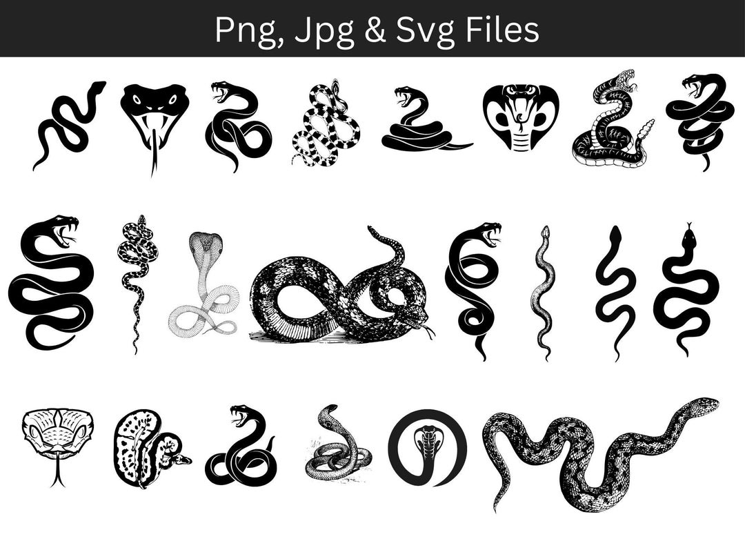 Snake Svg, Reptile Svg, Snake Silhouette Svg, Python Svg, Anaconda ...
