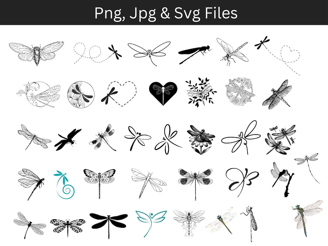 Dragonfly SVG Bundle, Dragonfly PNG, Dragonfly Svg, Floral Dragonfly ...