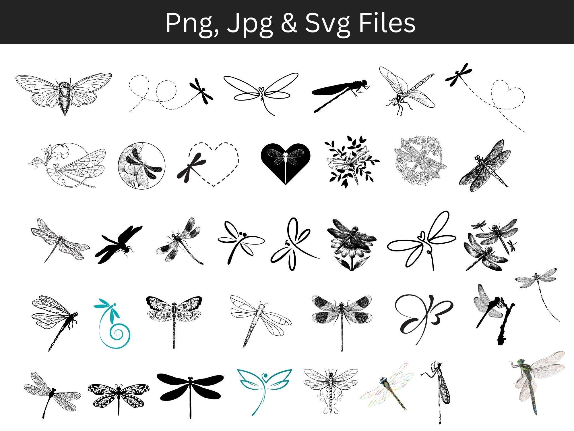 Dragonfly SVG Bundle, Dragonfly PNG, Dragonfly Svg, Floral Dragonfly ...