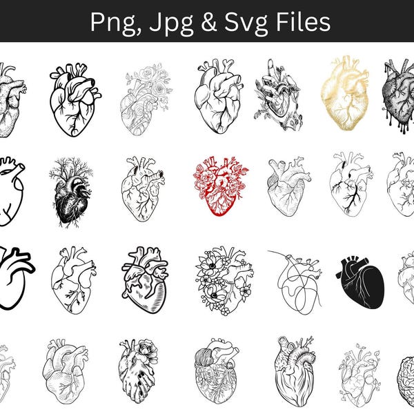Real Human Heart Anatomy SVG, Anatomical Heart Paper Cut Template for ...