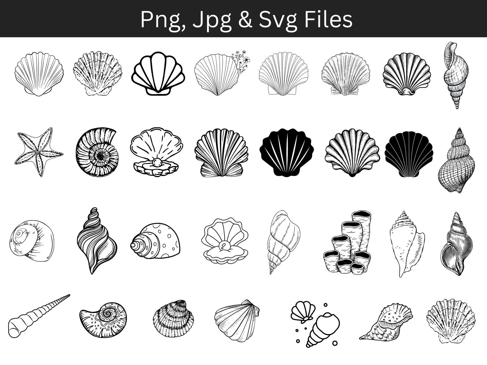 High Quality Sea Shell SVG Bundle, Sea Shell Dxf, Sea Shell Png, Sea ...