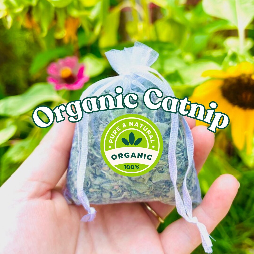 Handpicked Garden Catnip, Fresh, Loose Leaf, All Natural, Pesticide ...