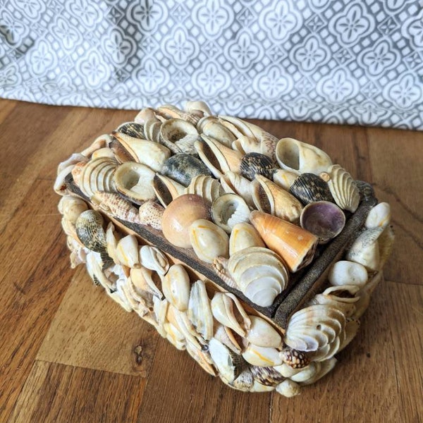Shell Covered Box - Etsy