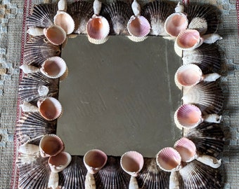 9 Seashell Olive and Shark Eye Mirror Nautical Decor - Etsy