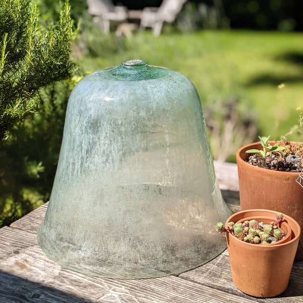 Garden Cloche - Etsy