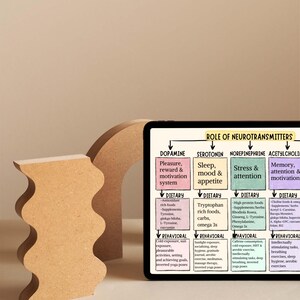 Neurotransmitters Chart: Your Guide to Brain Chemistry Counseling Tool ...