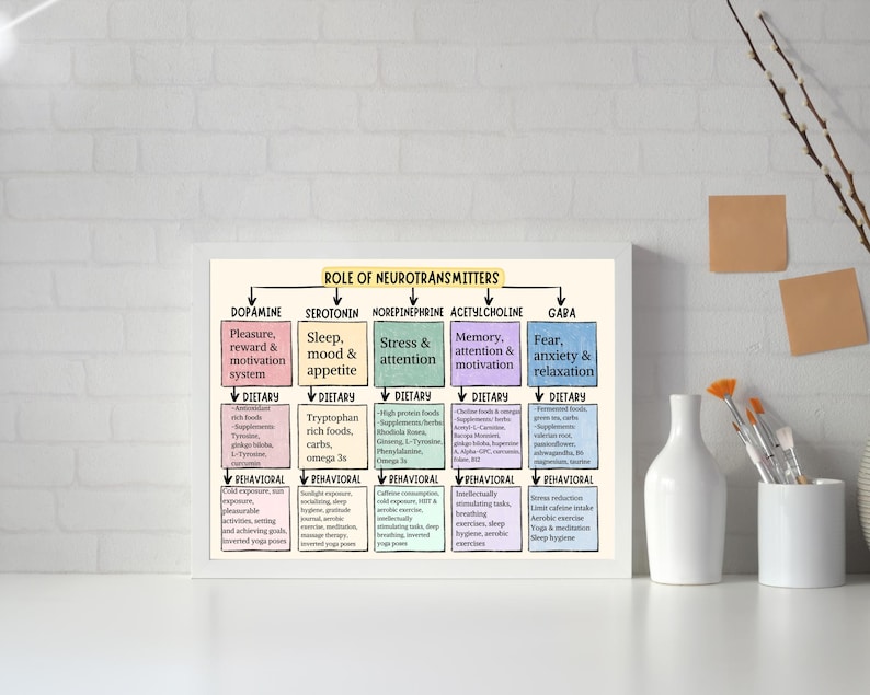 Neurotransmitters Chart: Your Guide to Brain Chemistry - Counseling ...