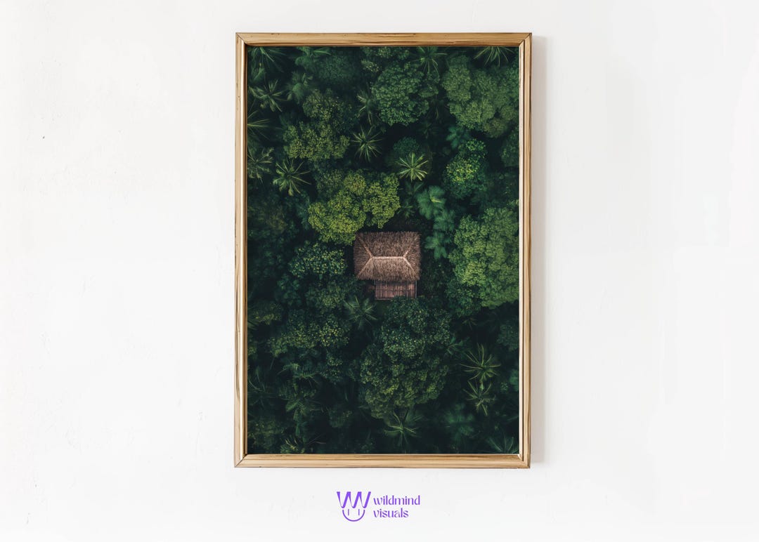 Tropical Jungle Hideaway – Aerial View of a Secluded Wooden Hut Amidst ...