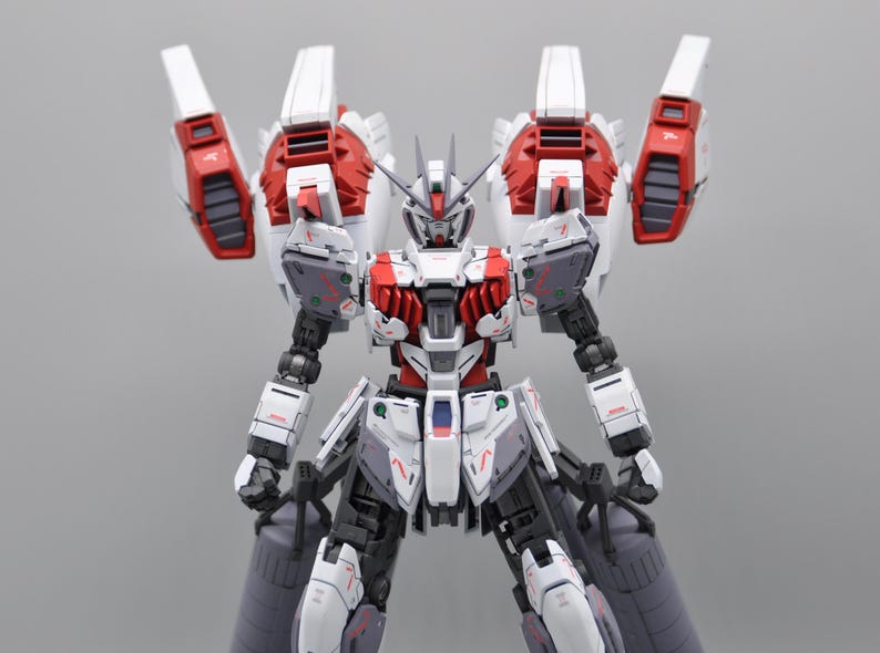 Bandai MG 1/100 Narrative Gundam NT Custom Color Built and Painted ...