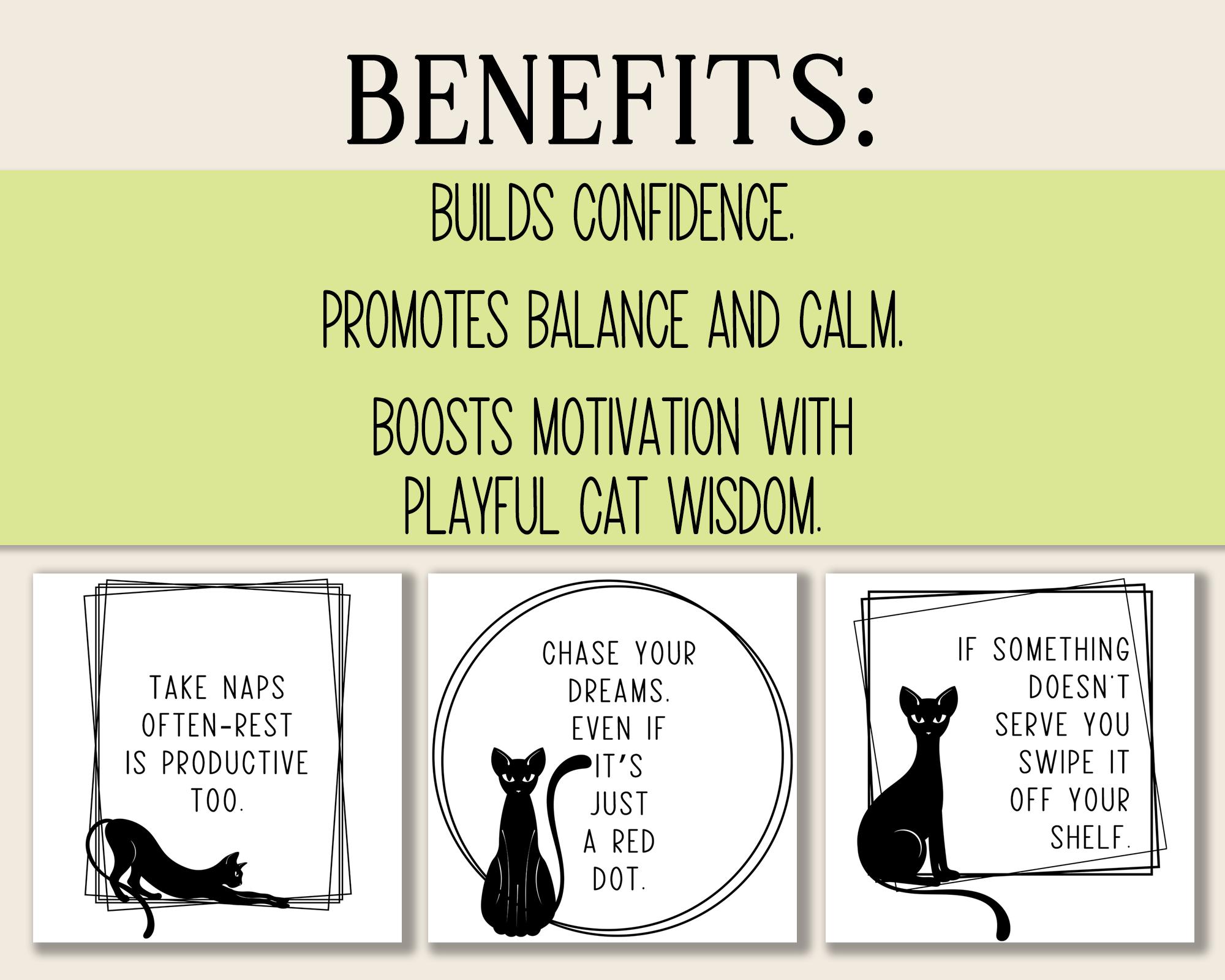 Cat Affirmation Cards | Mindfulness & Self-care Tips for Cat Lovers ...