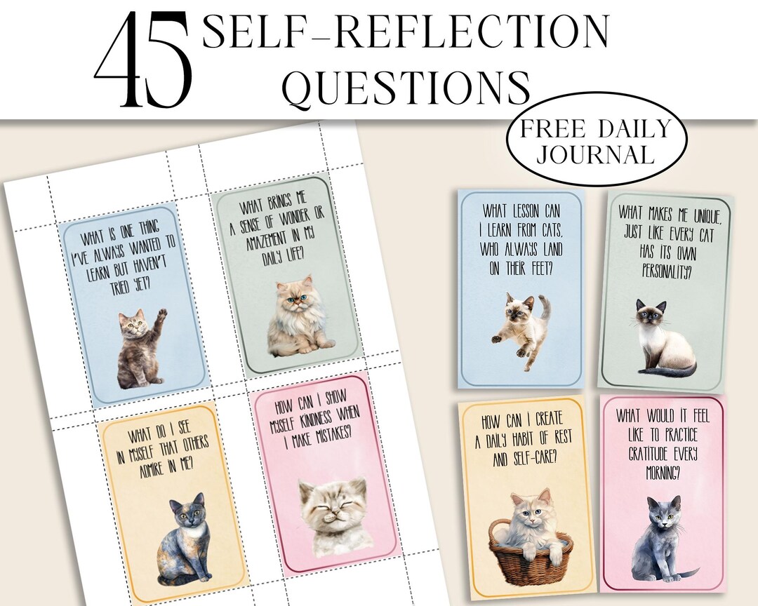 Cat Affirmation & Reflection Cards for Self-discovery, Mindfulness ...