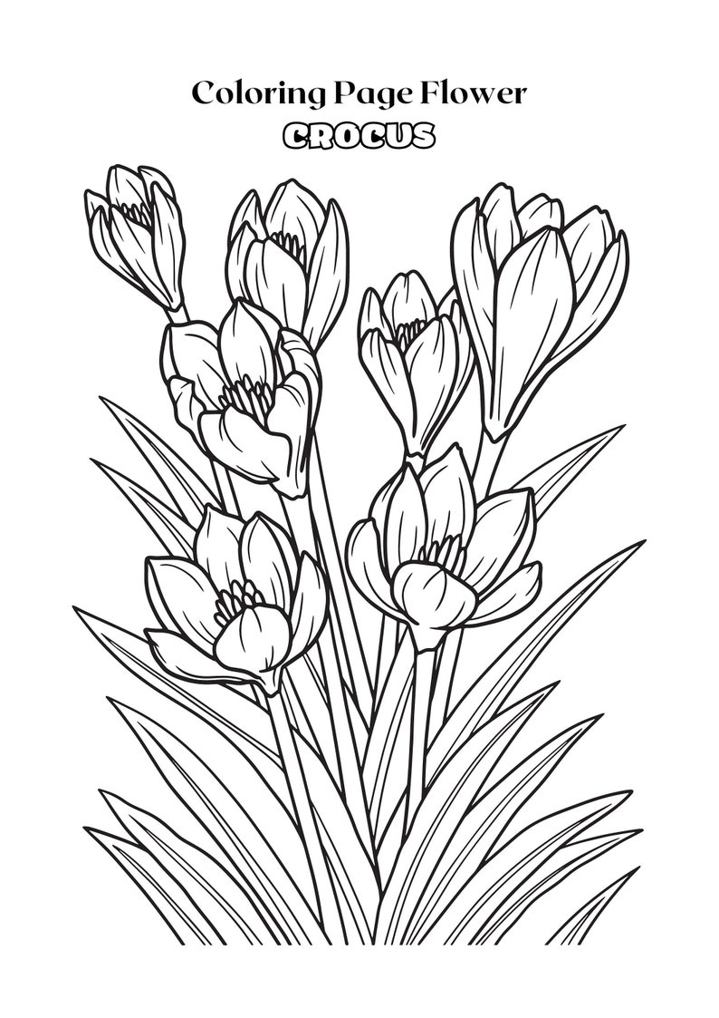 Coloring Book - Etsy